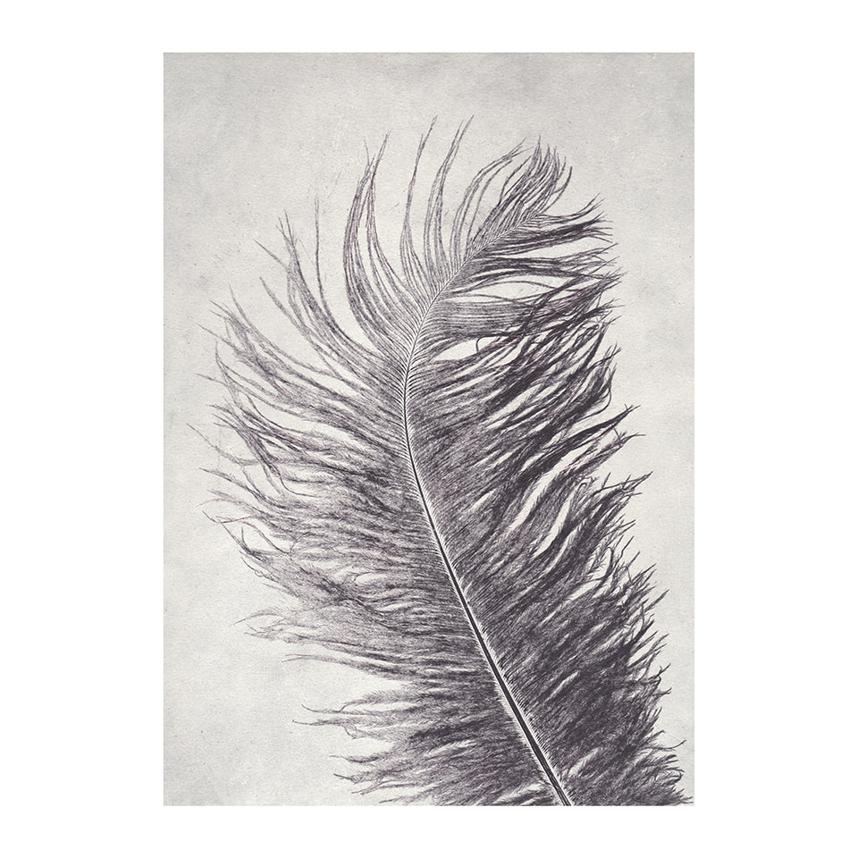 Pernille Folcarelli – The Fine Store